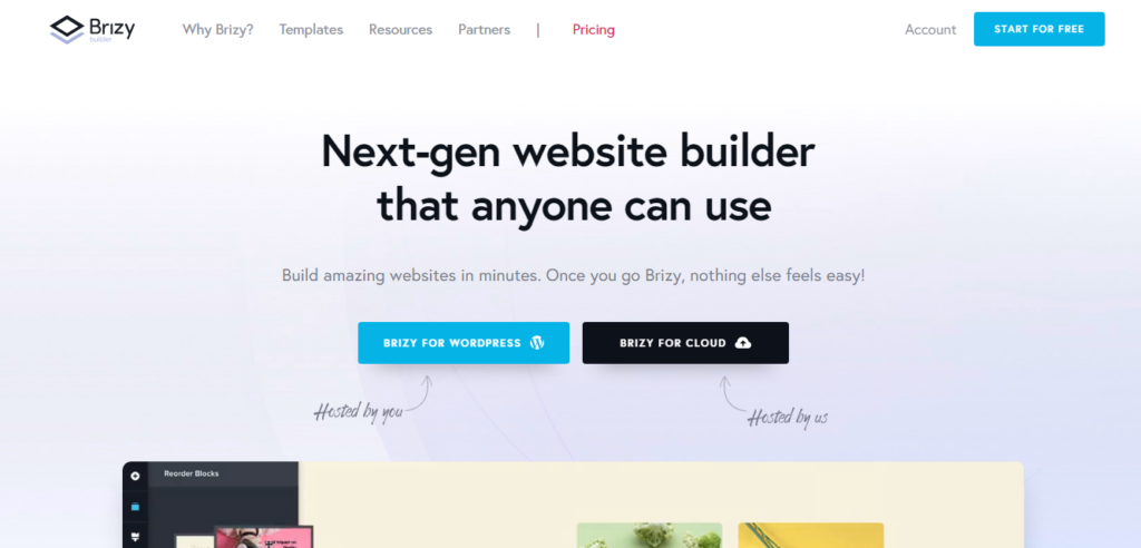 Brizy Review 2025: Is This Page Builder Worth For Money?
