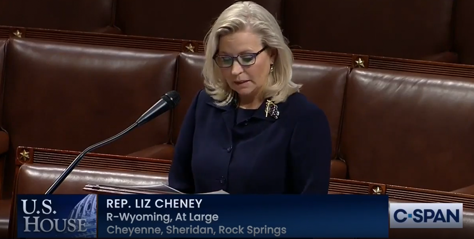 Liz Cheney Net Worth 2025 - Is She Rich Politician?