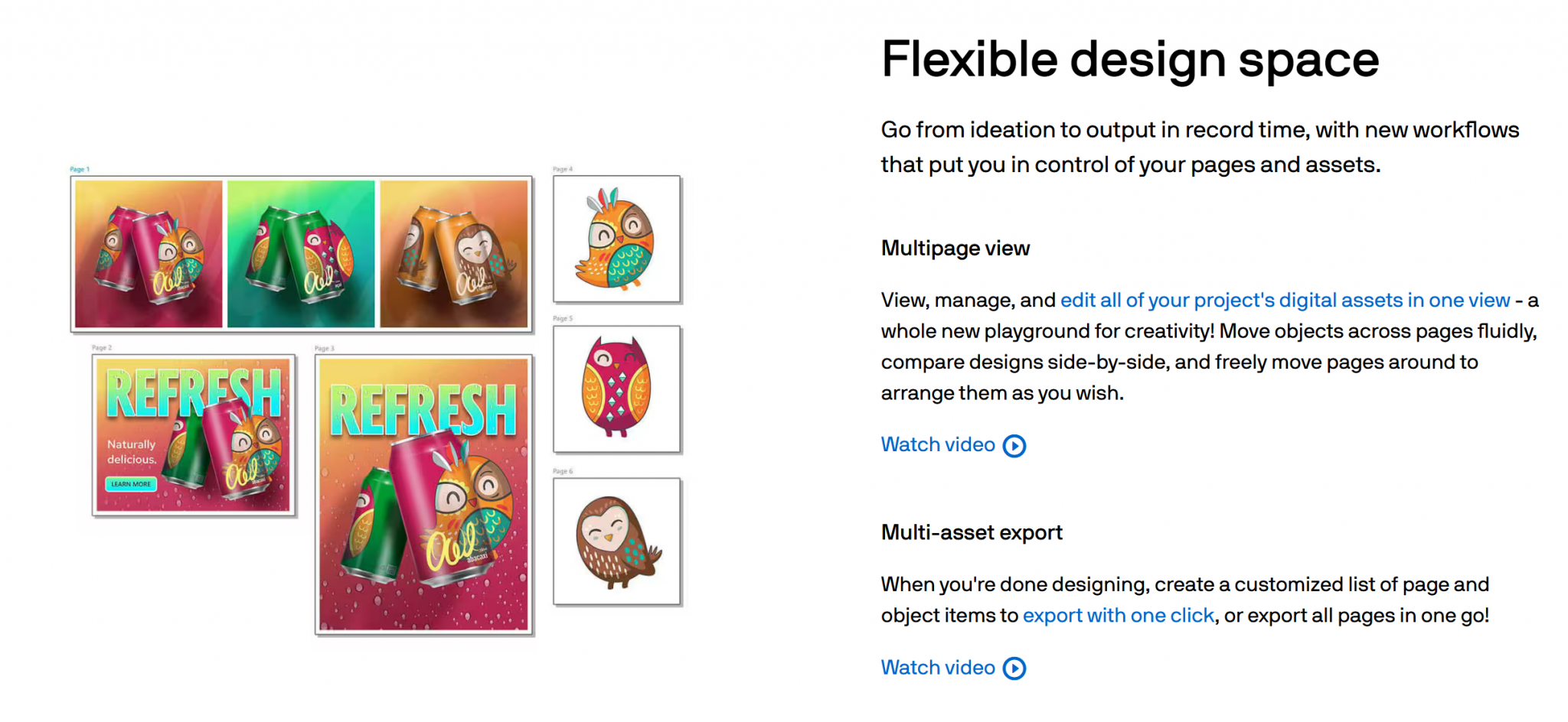 CorelDRAW Review: Is It Best Graphic Design Tool In 2025?